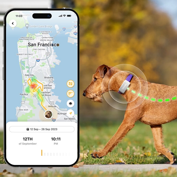 Petcube GPS Tracker - Real-Time Tracking Dog Collar with LTE/4G | TechVolt