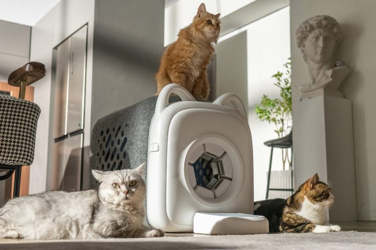 PawSwing - Automatic Cat Self-Groomer | TechVolt