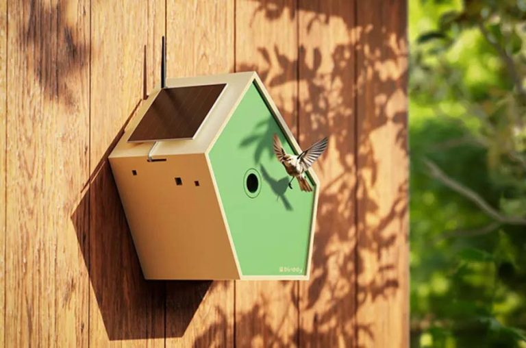 Birddy - Smart Bird House | TechVolt